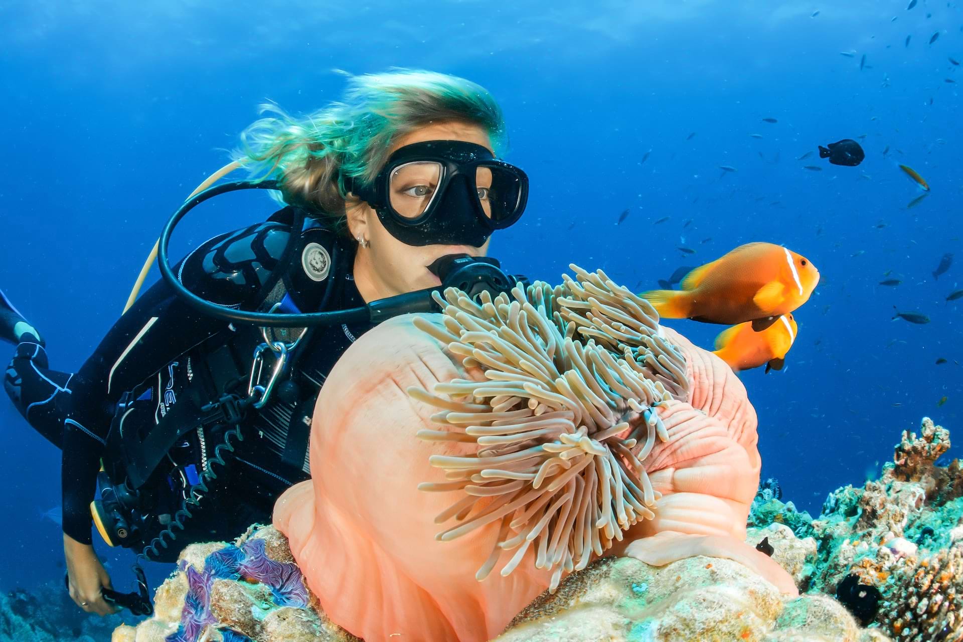 Scuba Diver Certification Cost: Is it Worth it?